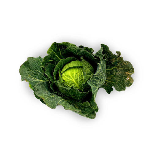 Winter Cabbage | ALDI IE